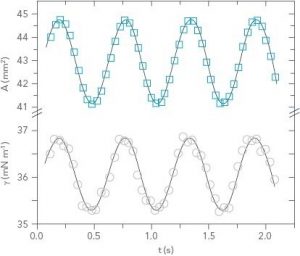 Dilatational Rheology of Foams, Emulsions, and Suspensions ...