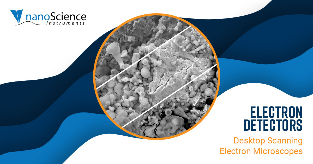 Backscatter Electron Detector & Secondary Electron Detector