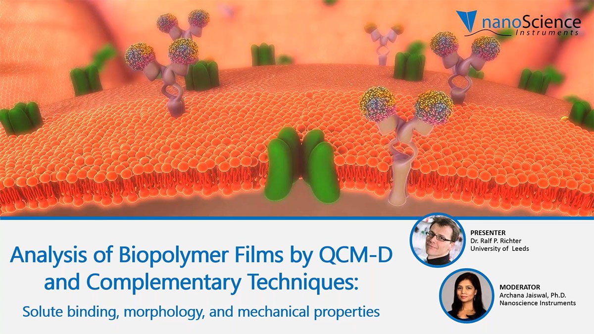 Understanding the Physical and Mechanical Properties of Flexible ...