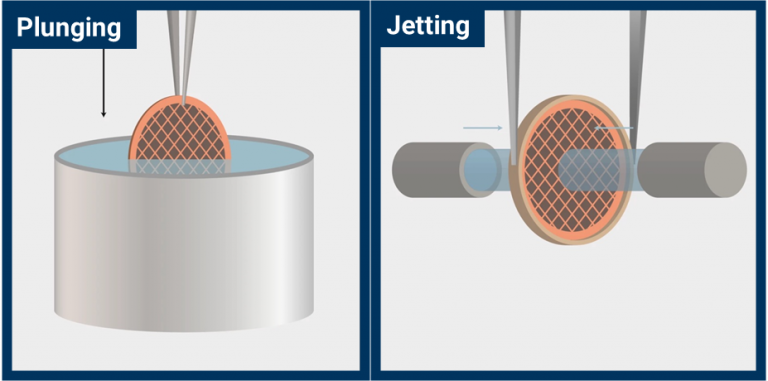 Overcoming the Learning Curve of CRYO-EM Sample Preparation ...