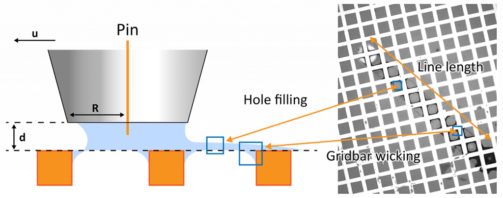 Overcoming the Learning Curve of CRYO-EM Sample Preparation ...
