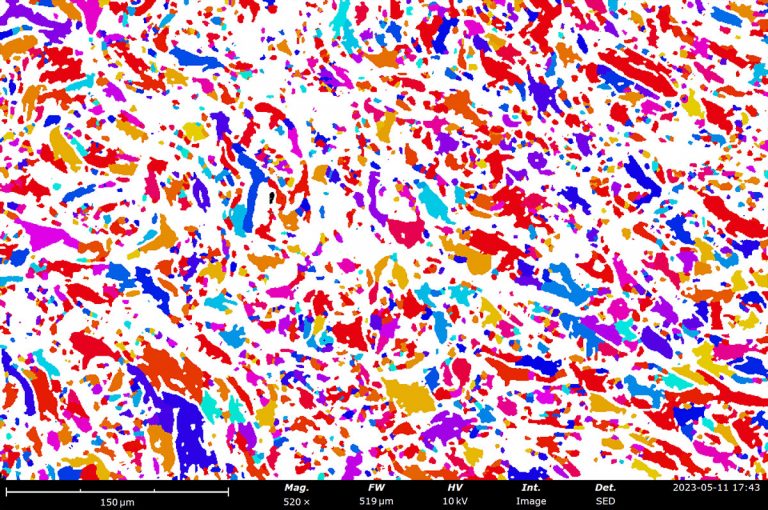 Visualizing Skin Tissue Morphology with Scanning Electron Microscopy ...