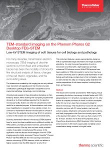 Phenom Desktop STEM Detector | Official US Partner