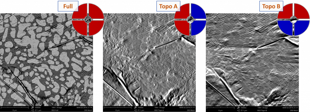 5 Reasons to Purchase a Scanning Electron Microscope (SEM ...
