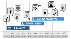 Understanding the Difference between Magnification and Resolution in ...