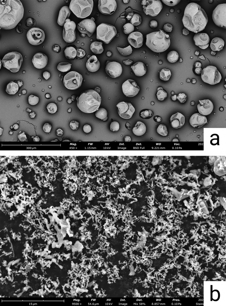 Preparing Powders for Scanning Electron Microscopy | Nanoscience Instruments