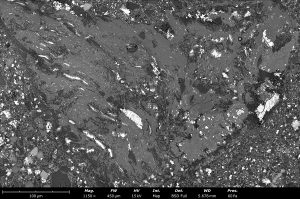 A Closer Look at Backscattered Electrons in Scanning Electron ...