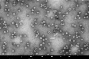 Scanning Transmission Electron Microscopy | Nanoscience Instruments