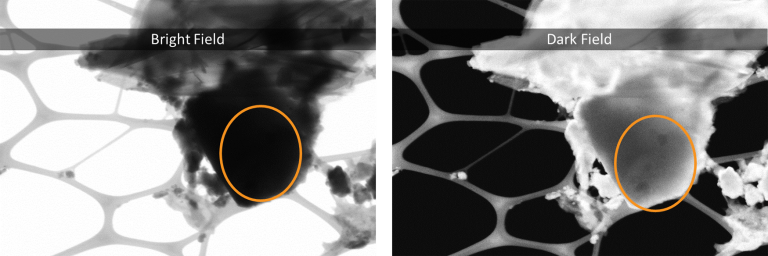 Scanning Transmission Electron Microscopy | Nanoscience Instruments