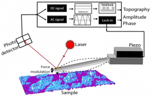 Atomic Force Microscopy | Nanoscience Instruments