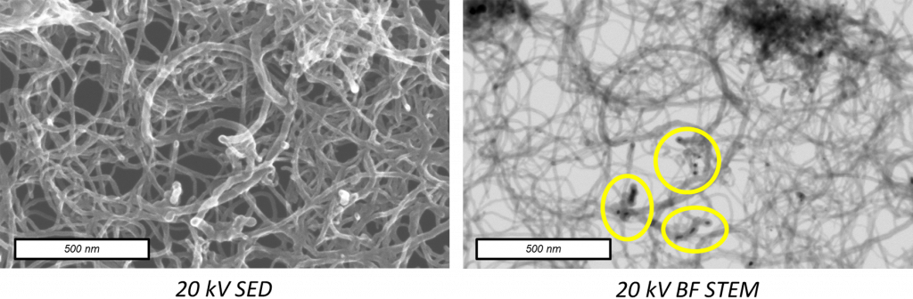 Scanning Transmission Electron Microscopy | Nanoscience Instruments