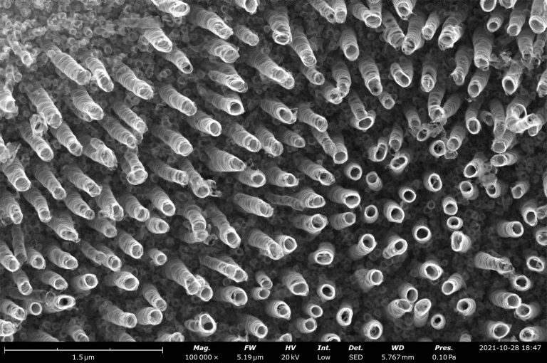 What’s the Difference Between SEM & TEM? | Nanoscience Instruments