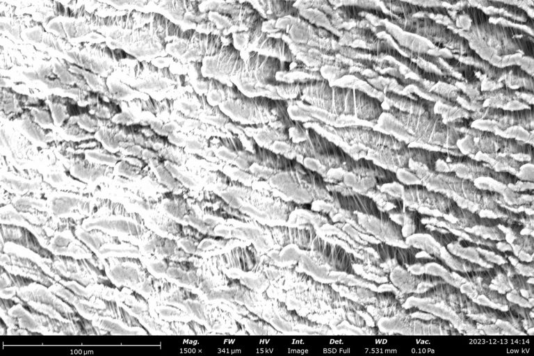 Why Use Low Accelerating Voltage for SEM Imaging? | Nanoscience Instruments Why Use Low Accelerating Voltage for SEM Imaging? | Nanoscience Instruments