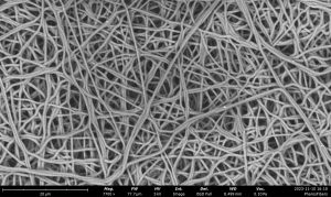 Why Use Low Accelerating Voltage for SEM Imaging? | Nanoscience Instruments
