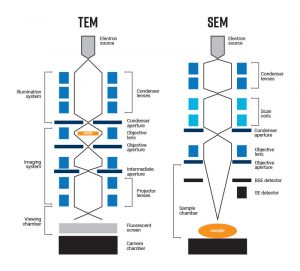 What’s the Difference Between SEM & TEM? | Nanoscience Instruments