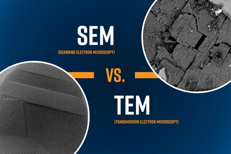 What’s the Difference Between SEM & TEM? | Nanoscience Instruments