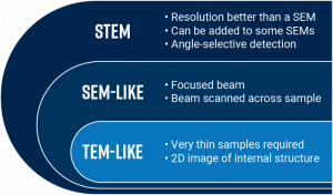 What’s the Difference Between SEM & TEM? | Nanoscience Instruments