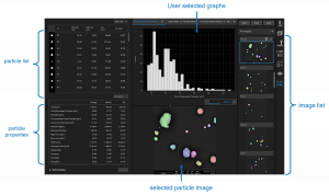 6 Applications of SEM & EDS in Pharmaceutical Sciences | Nanoscience ...