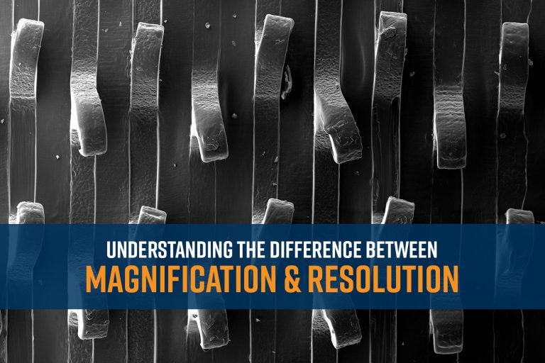 Understanding the Difference between Magnification and Resolution in ...