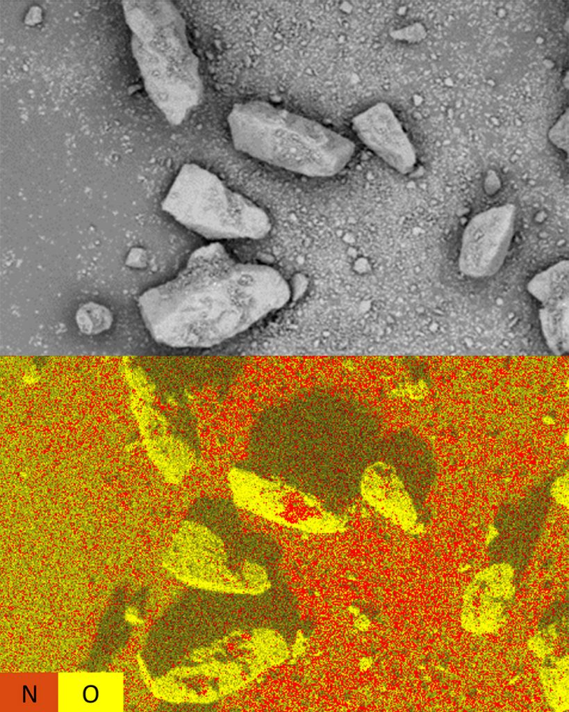 6 Applications of SEM & EDS in Pharmaceutical Sciences | Nanoscience ...