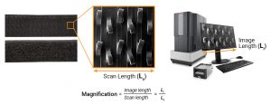 Understanding the Difference between Magnification and Resolution in ...