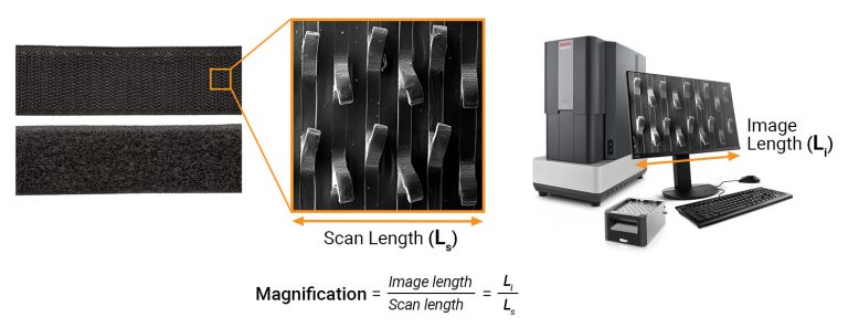 Understanding the Difference between Magnification and Resolution in ...