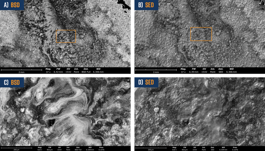 Large Scale Sem Imaging With Automated Image Mapping Nanoscience