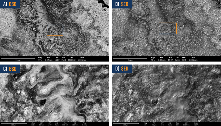 Large Scale Sem Imaging With Automated Image Mapping Nanoscience Instruments