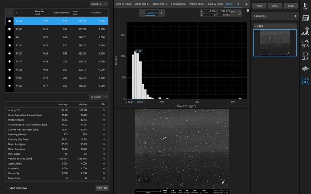 Large-scale SEM Imaging with Automated Image Mapping | Nanoscience ...