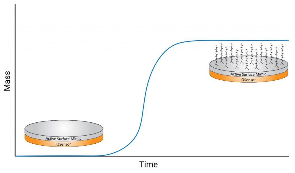 How Does QCM-D Enable Research in PFAS Remediation? | Nanoscience ...
