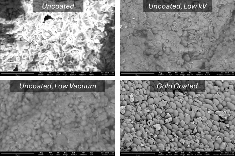 Choosing the Right Coating for SEM Imaging | Au vs Pt