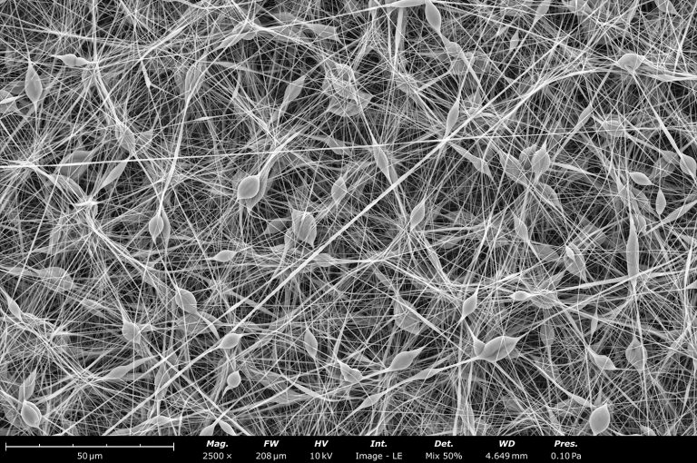 Electrospinning: A Versatile Technique for Fabricating Diverse Fiber ...