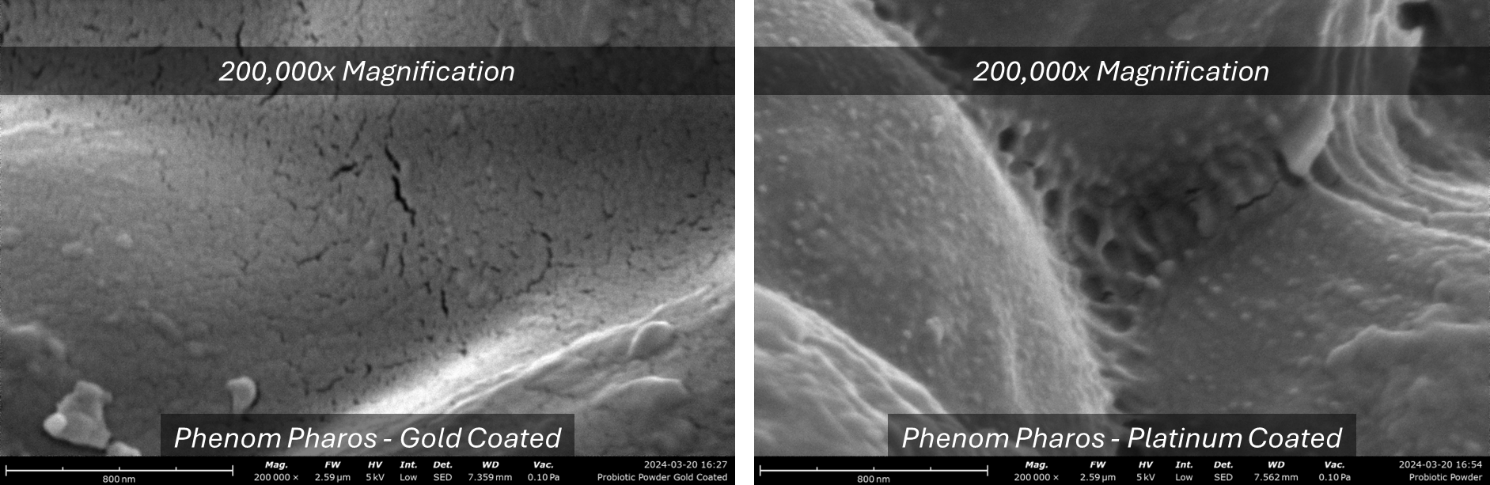 Choosing the Right Coating for SEM Imaging | Au vs Pt