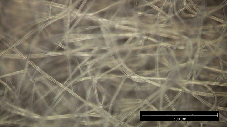 From Photons to Electrons: Optical and Electron Microscopy ...