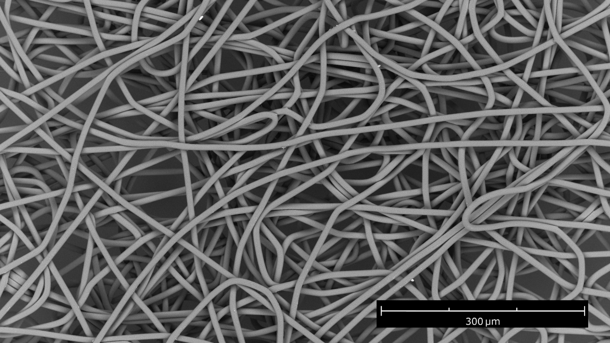 From Photons to Electrons: Optical and Electron Microscopy ...