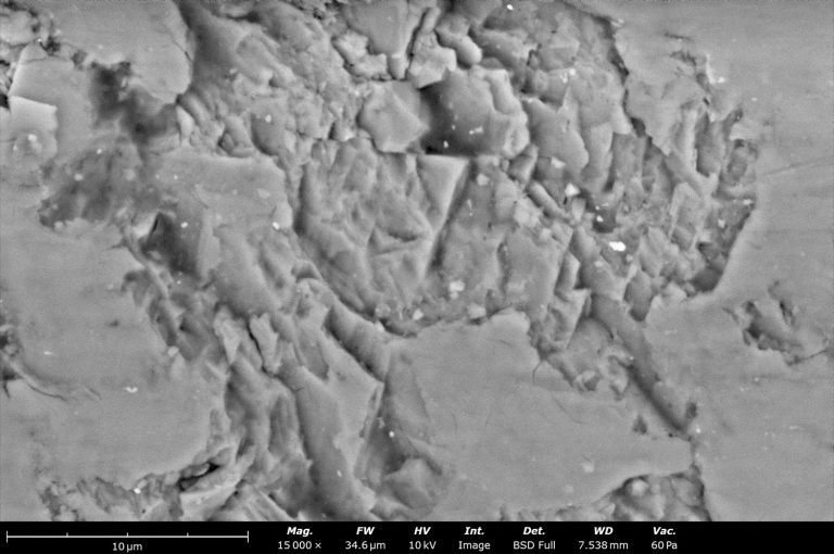 SEM Imaging of Uncoated, Nonconductive Samples | Nanoscience Instruments