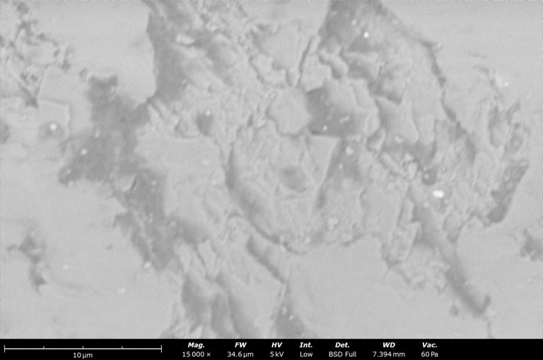 SEM Imaging of Uncoated, Nonconductive Samples | Nanoscience Instruments