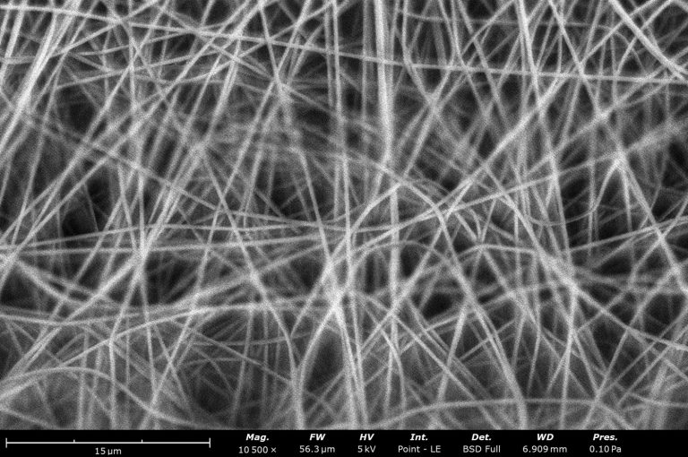 SEM Imaging of Uncoated, Nonconductive Samples | Nanoscience Instruments