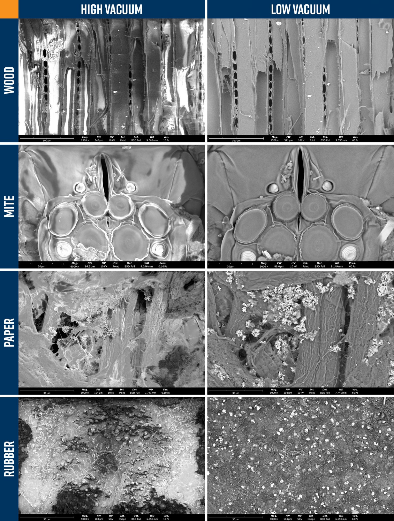 SEM Imaging of Uncoated, Nonconductive Samples | Nanoscience Instruments