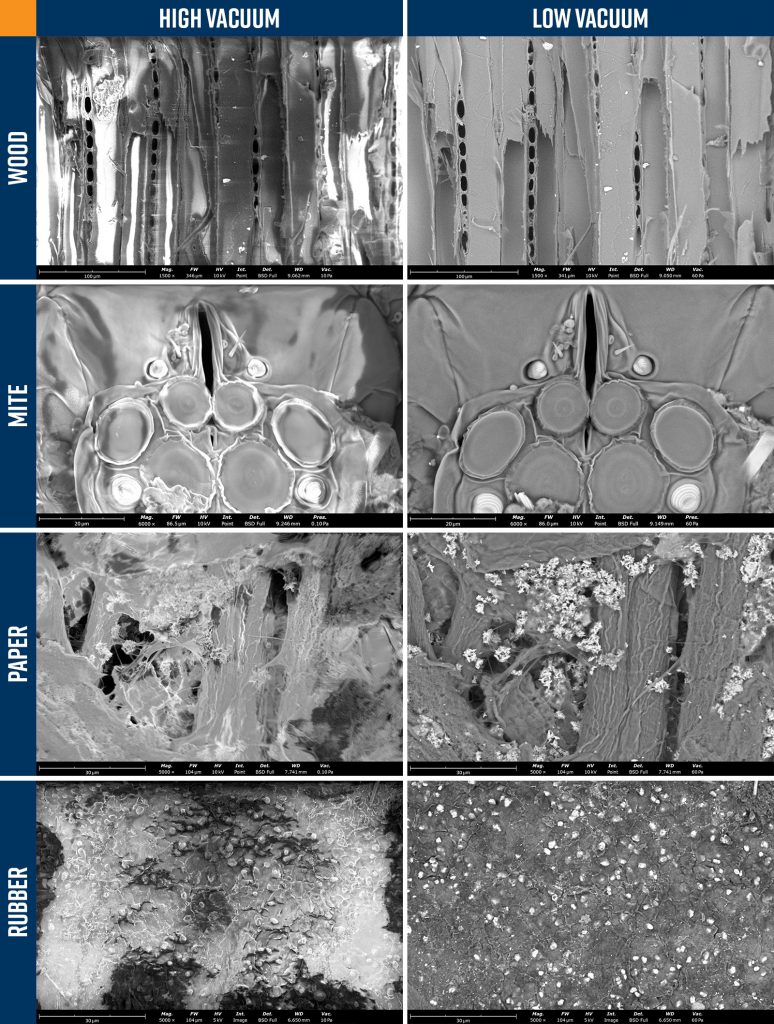 SEM Imaging of Uncoated, Nonconductive Samples | Nanoscience Instruments