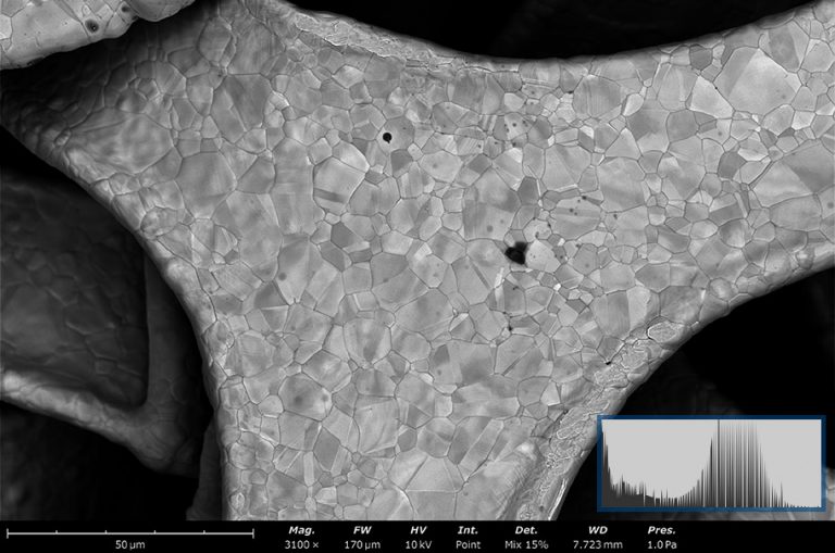 Improving Microstructural Analysis in SEM Imaging with Gamma Correction ...