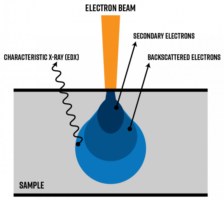 Secondary Electrons In Sem Unlocking Surface Insights At The Nanoscale Nanoscience Instruments