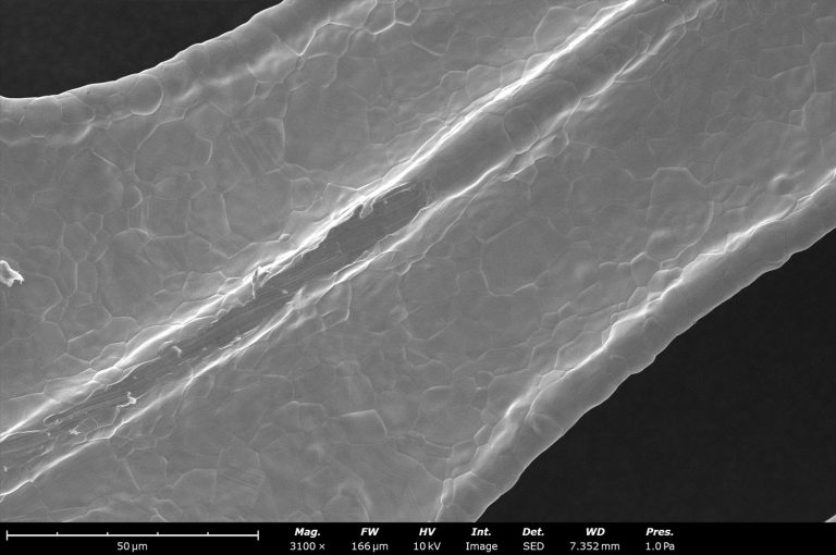 Struck by an Electron Beam: Interactions at the Surface in SEM ...
