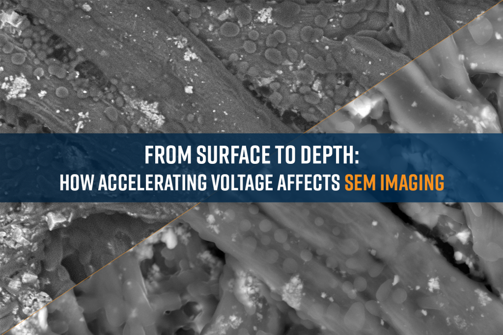 From Surface To Depth How Accelerating Voltage Affects Sem Imaging Nanoscience Instruments