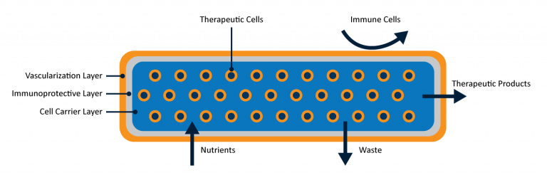Electrospinning in Tissue Engineering and Regenerative Medicine ...