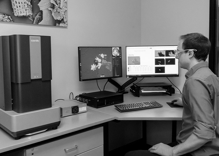 Enhancing Elemental Analysis with Real-Time Mapping: Phase Identification Using ChemiSEM & Phase ...
