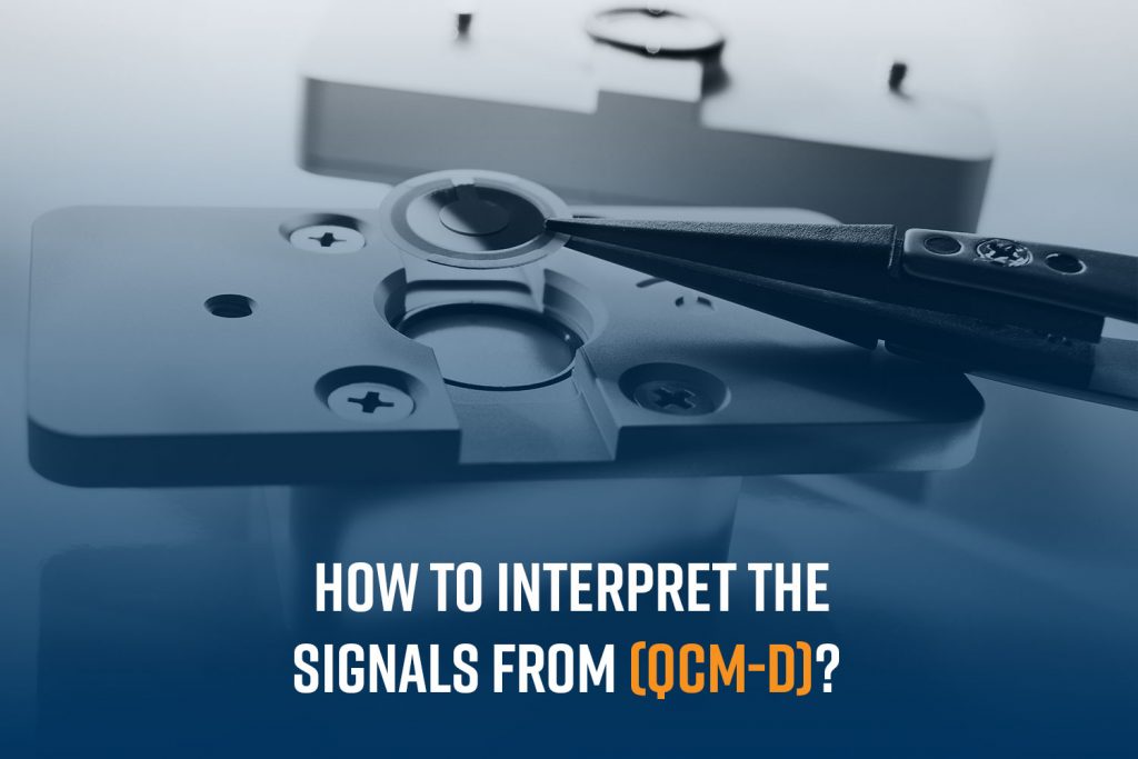 How to Interpret the Signals from QCM-D? | Nanoscience Instruments