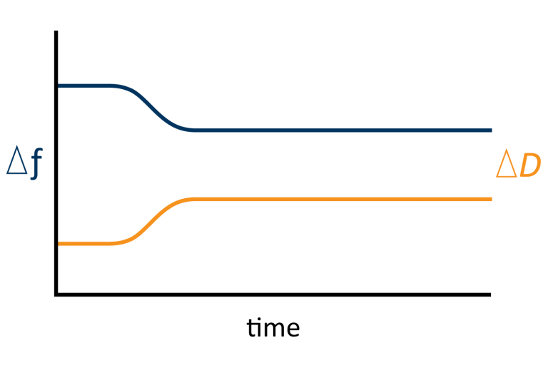 How to Interpret the Signals from QCM-D? | Nanoscience Instruments