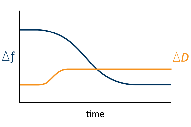 How to Interpret the Signals from QCM-D? | Nanoscience Instruments