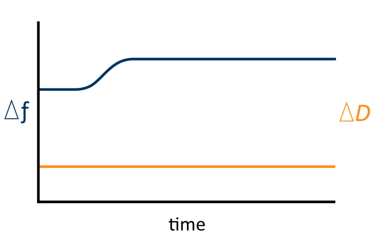 How to Interpret the Signals from QCM-D? | Nanoscience Instruments
